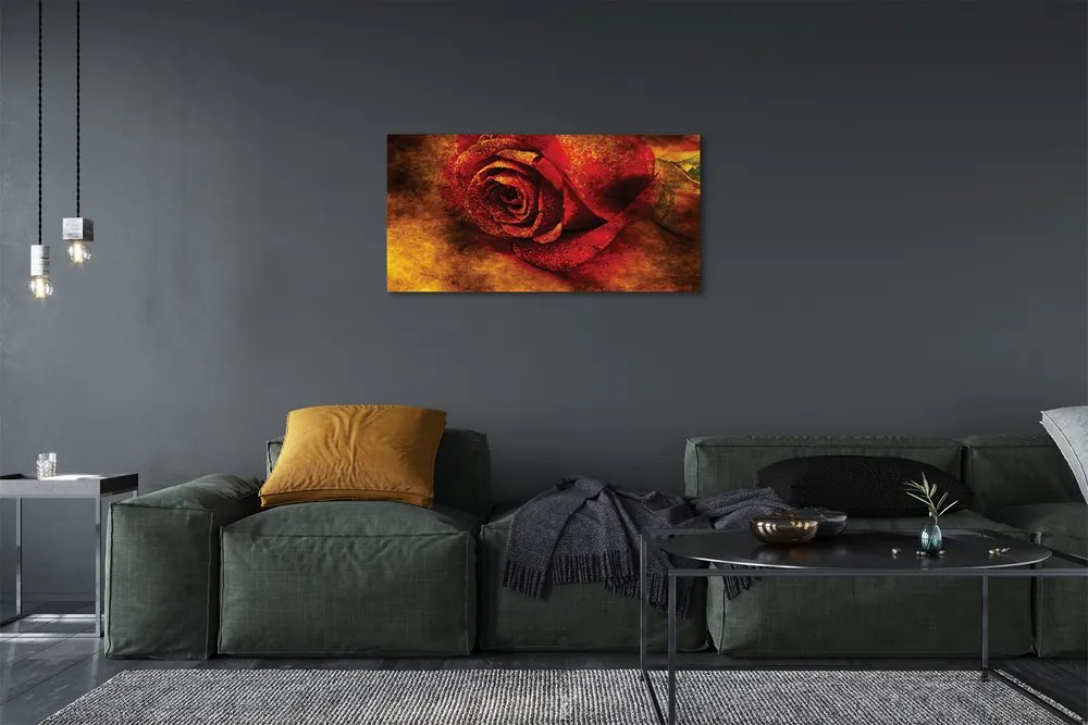Obrazy na plátně rose picture 100x50 cm