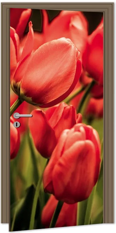 Dimex D-057 Samolepicí fototapeta na dveře RED TULIPS, velikost 95x210cm