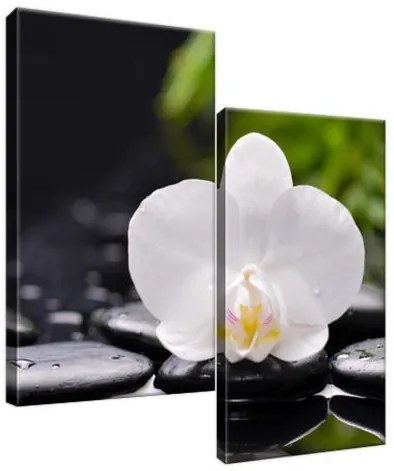 Obraz na plátně Bílá orchidej a kameny 60x60cm 1707A_2A