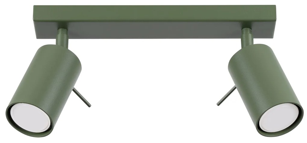 Sollux Lighting Stropní svítidlo RING 2 olivově zelené