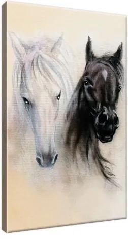 Obraz na plátně Black and White Horses 20x30cm 2502A_1S