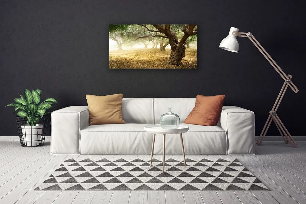 Obraz na plátně Strom Tráva Příroda 120x60 cm