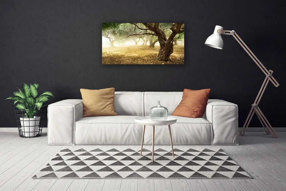 Obraz na plátně Strom Tráva Příroda 125x50 cm