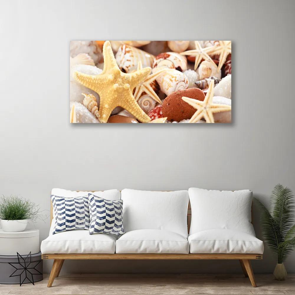 Obraz na plátně Hvězdice Mušle Pláž 125x50 cm