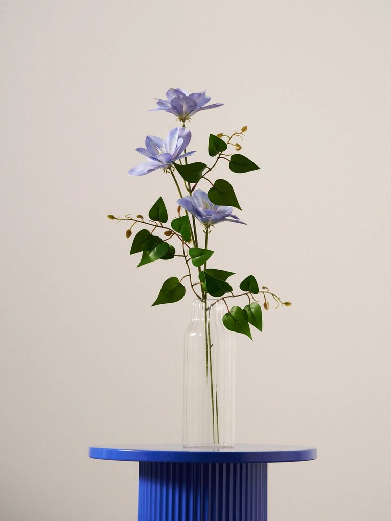 Sinsay - Decorative plant – clematis - modrá