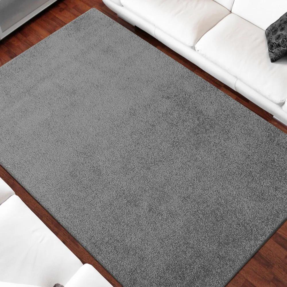 Šedý jednobarevný koberec do obýváku Šířka: 200 cm | Délka: 300 cm