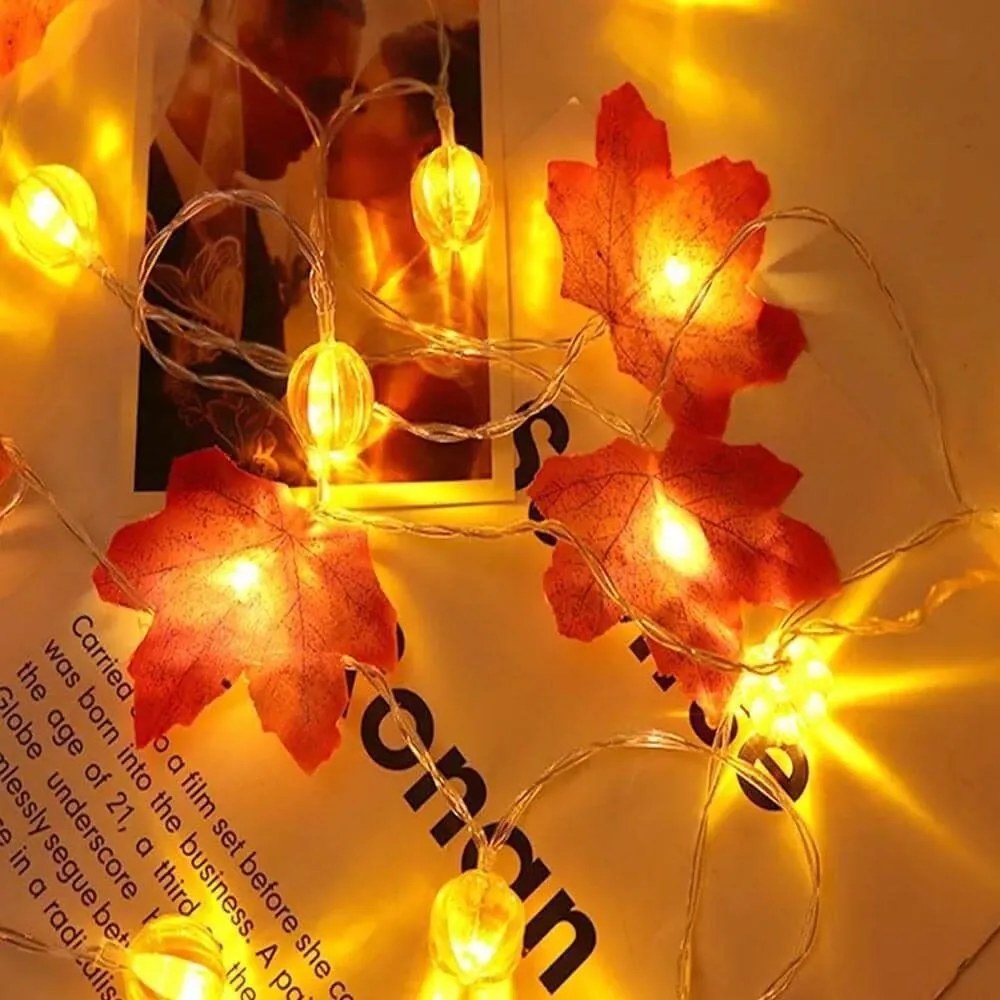 Alegría en Casa LED světelný řetěz - podzimní listí