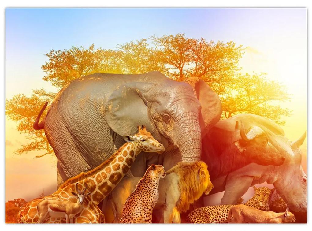Skleněný obraz afrických zvířátek (70x50 cm)
