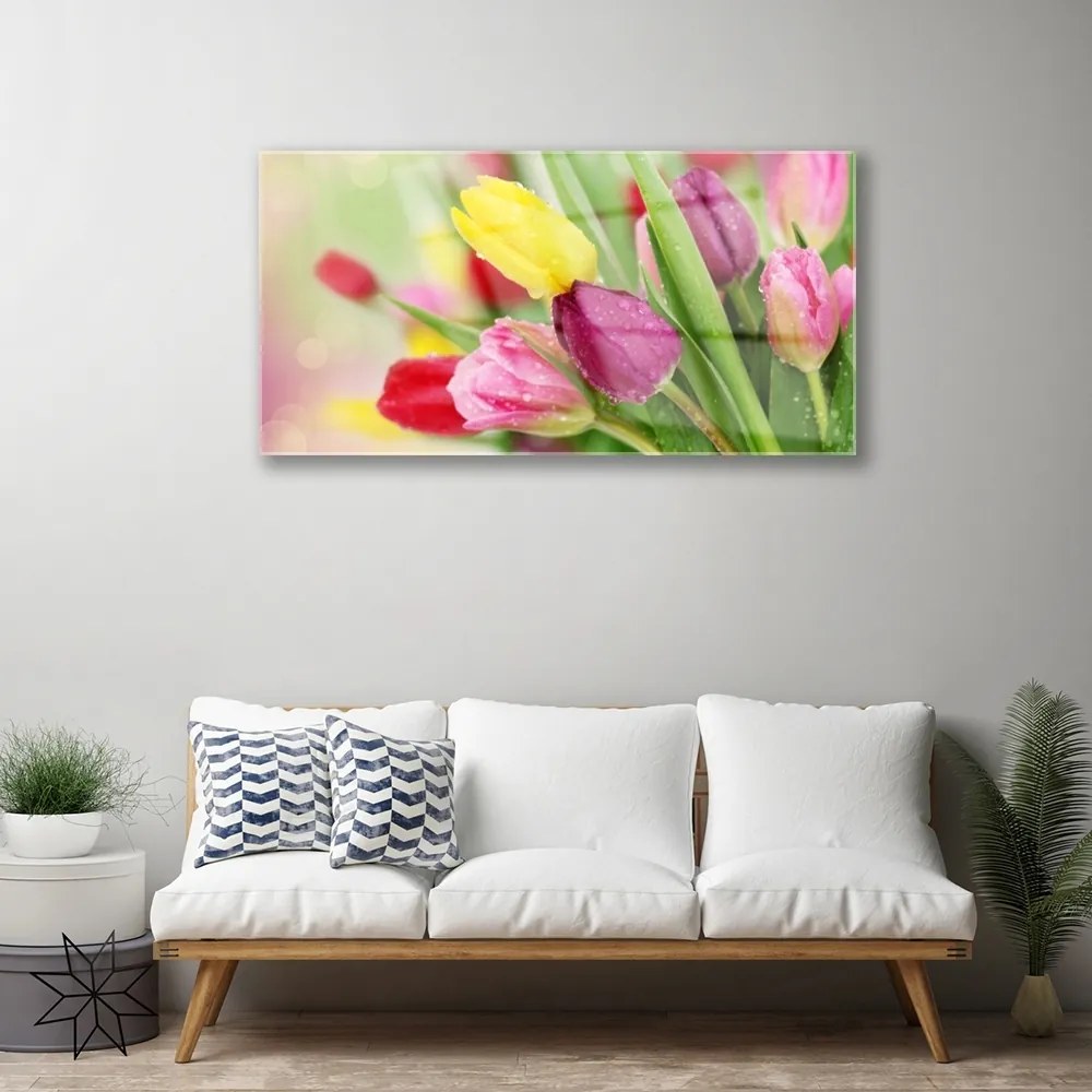 Obraz na skle Tulipány Květiny Rostlina 140x70 cm