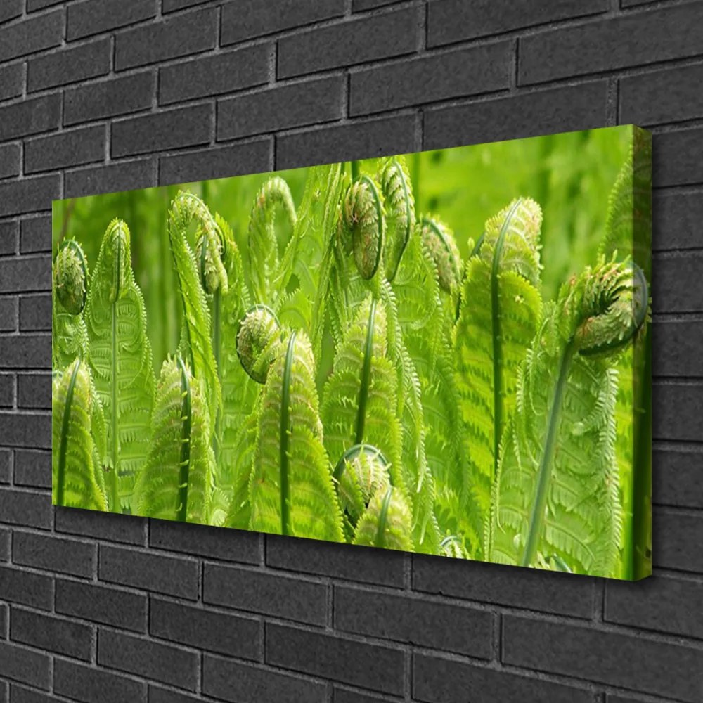 Obraz na plátně Rostlina Příroda 125x50 cm