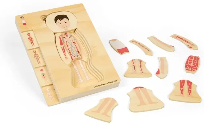 Bigjigs Toys Dřevěné puzzle Anatomie chlapec