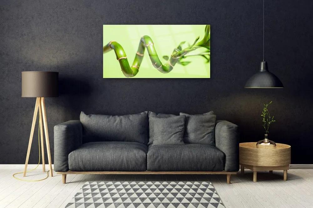 akrylový obraz Bambus Rostlina Příroda 100x50 cm