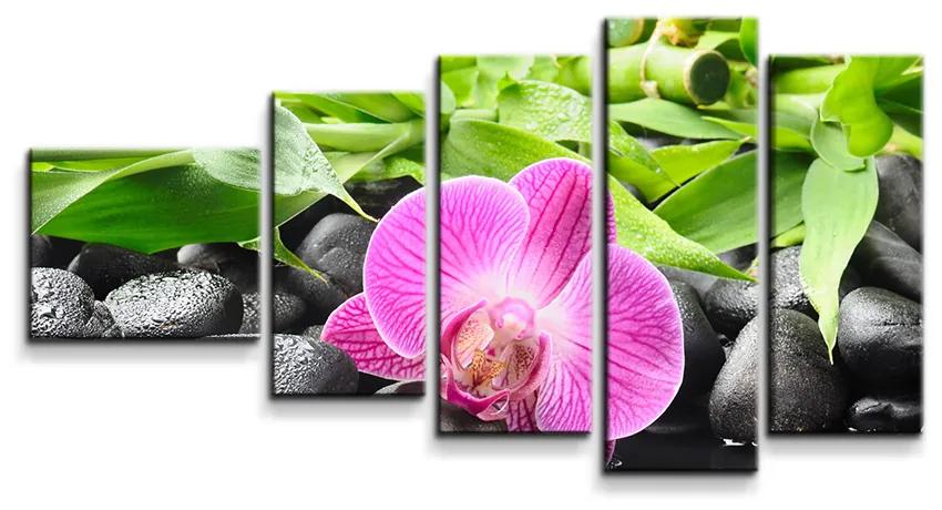Sablio Obraz - 5-dílný Růžová orchidej - 100x60 cm