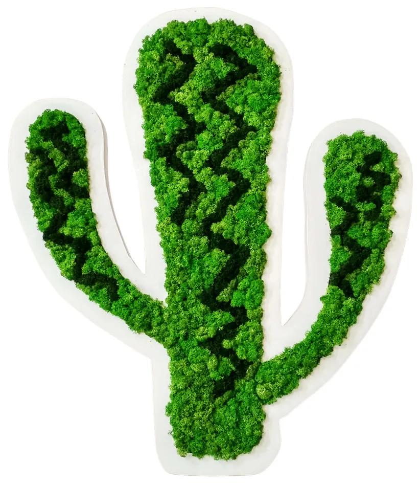 WOODILO Mechový obraz v Kaktus | sobí mech
