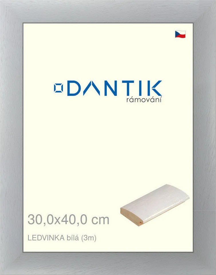 DANTIK rámeček 30x40 | LEDVINKA bílá (Plexi Čiré)