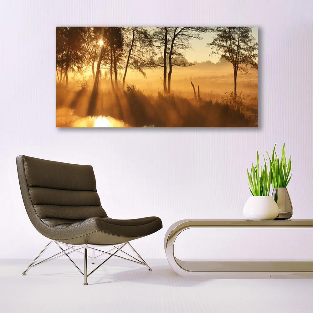 akrylový obraz Stromy Příroda 120x60 cm