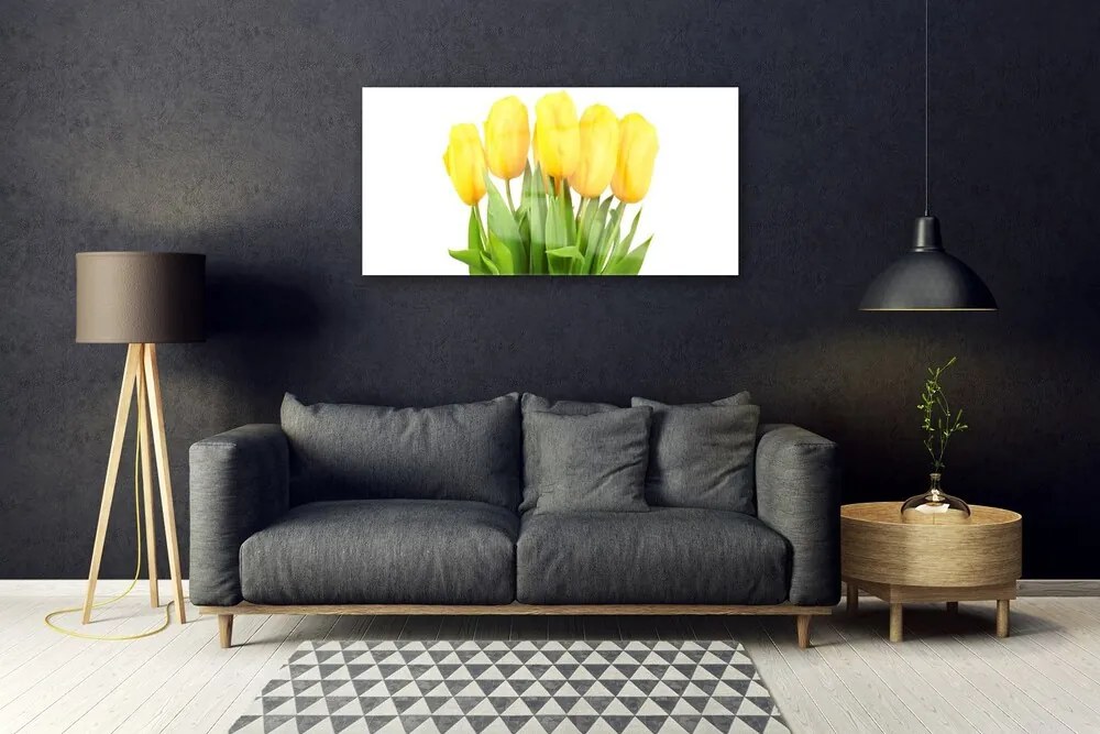 Obraz na skle Tulipány Květiny Rostlina 100x50 cm