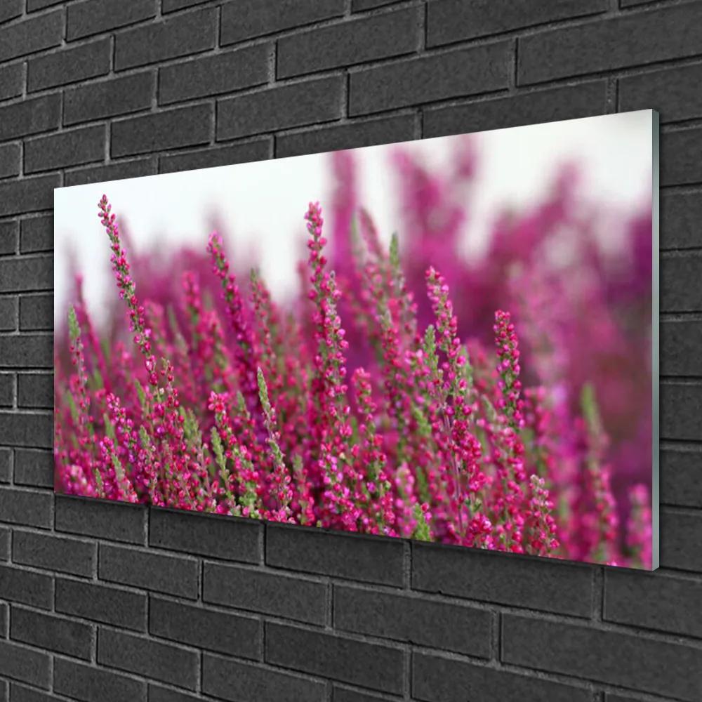 Obraz na skle Květiny Louka Příroda 125x50 cm