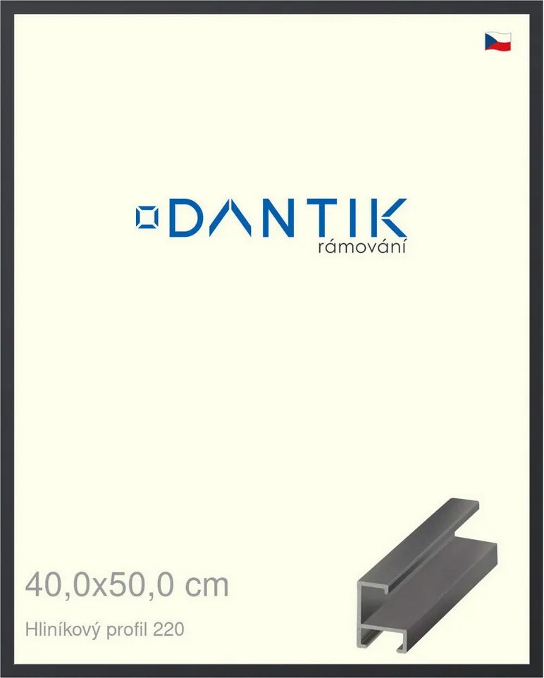 DANTIK rámeček 40x50 | ALU profil 6220 Černá matná (Sklo Čiré)