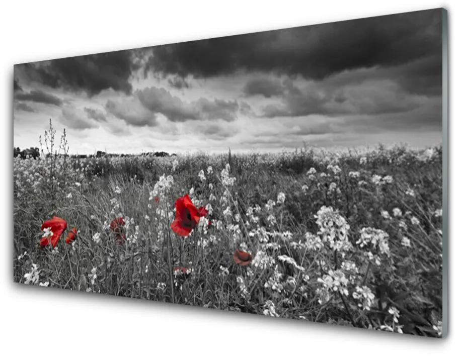 Plexisklo-obraz Louka Květiny Krajina 125x50 cm