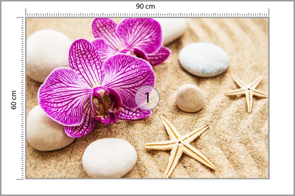 Fototapeta Orchid Pláž Spa Omyvatelný vlies 254x184