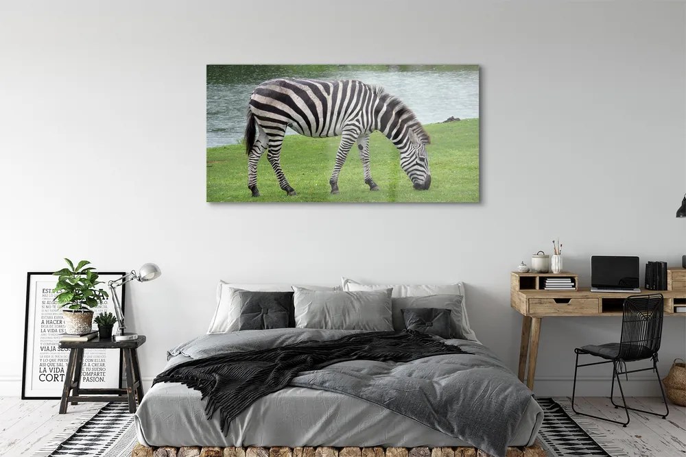 akrylový obraz zebra 140x70 cm