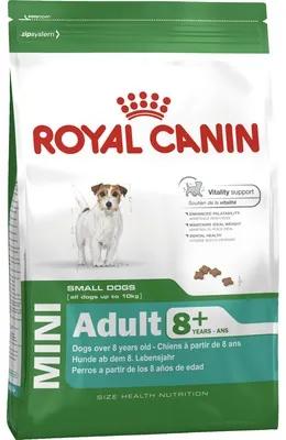 Krmivo pro psy Royal Canin SHN Mini Adult (nad 8 let) 8 kg