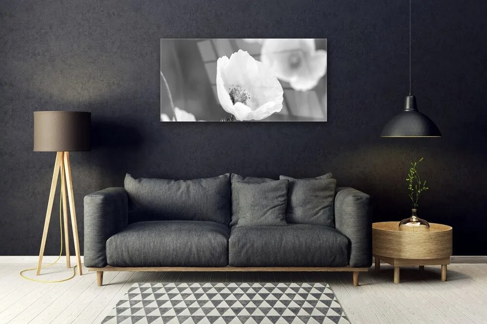 Obraz na skle Máky Rostlina Příroda 120x60 cm