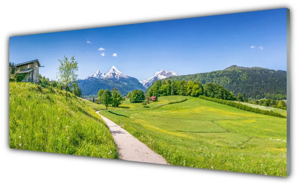 Plexisklo-obraz Hory Louka Stezka Údolí 125x50 cm