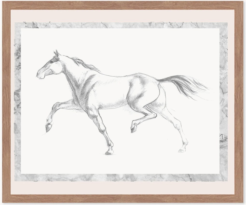 Zarámovaný digitální tisk Single Horse, v různých velikostech