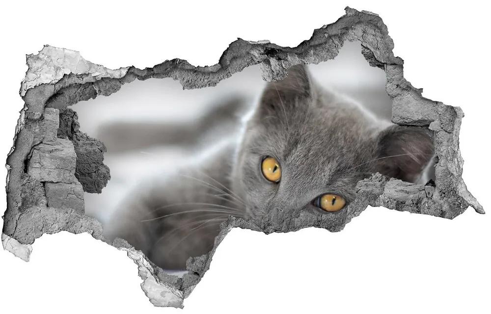 Wallmuralia Díra 3D fototapeta nálepka Šedá kočka 95x73 cm