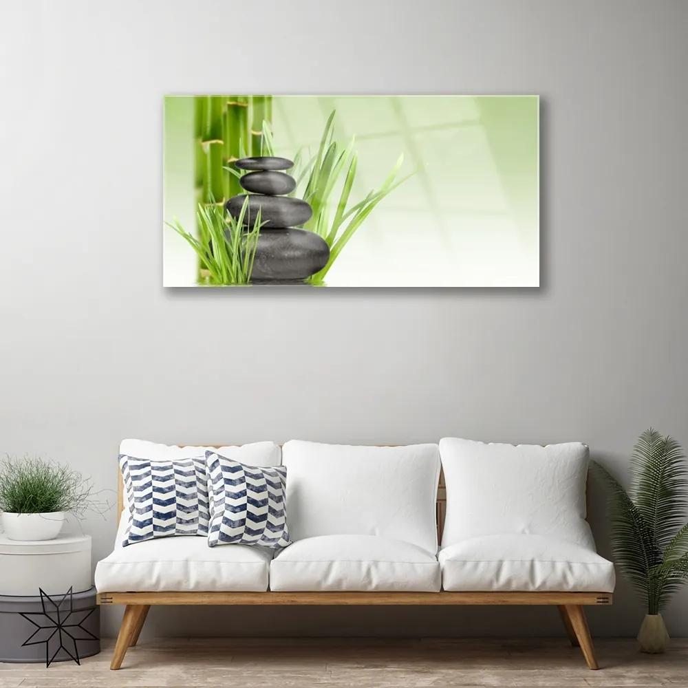 Obraz na skle Bambus Tráva Rostlina Příroda 100x50 cm