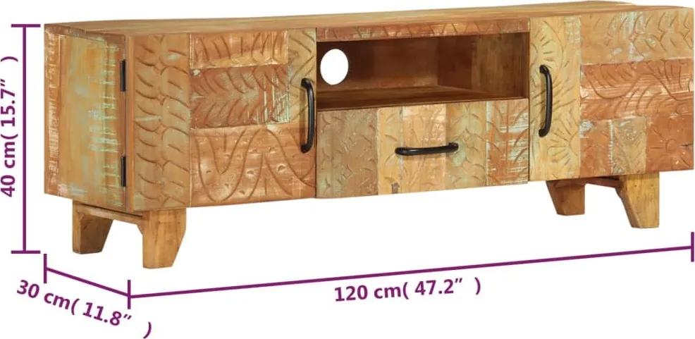 vidaXL Ručně vyřezávaná TV skříň 120x30x40cm masivní recyklované dřevo [247909]