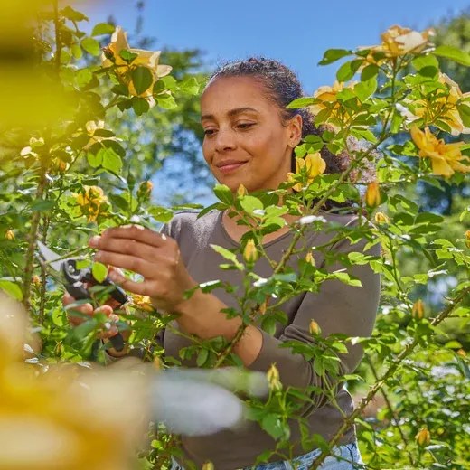 © 2026 GARDENA Zahradní nůžky PremiumCut Flex, dvoubřité, zahradní nůžky pro čerstvé dřevo, 24 mm