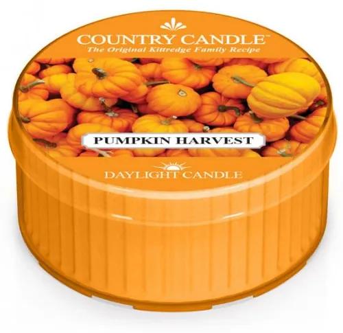 Country Candle Vonná Svíčka Pumpkin Harvest, 35 g