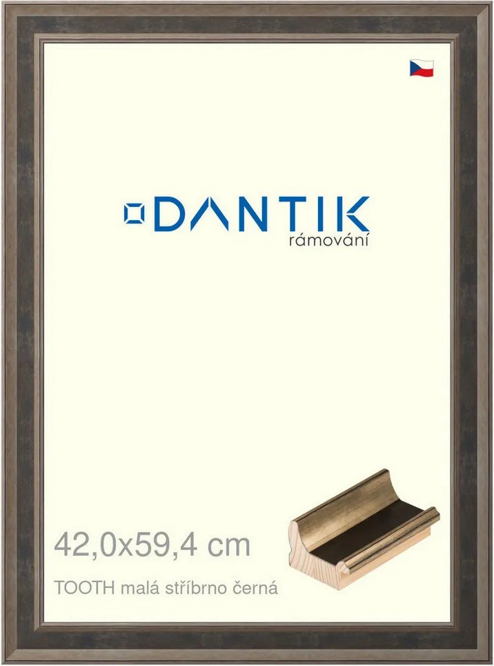 DANTIK rámeček 42x59,4 | TOOTH malá stříbrno černá (Plexi Čiré)
