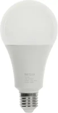RETLUX RLL 663 A80 E27 bulb 20W / 2700 lm / 4000K - studená bílá / D