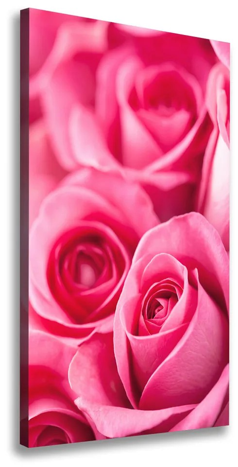 Wallmuralia Foto obraz na plátně do obýváku Růžové růže 50x100 cm