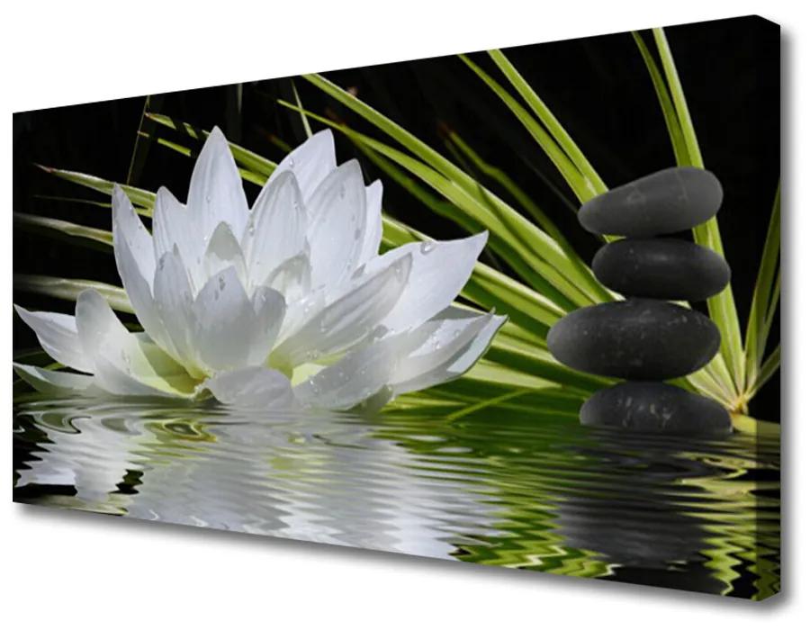 Obraz na plátně Květiny Kameny Zen Voda 120x60 cm