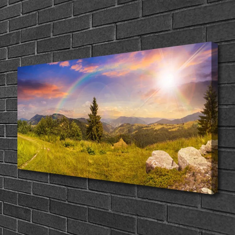 Obraz na plátně Hory Louka Kameny Příroda 140x70 cm