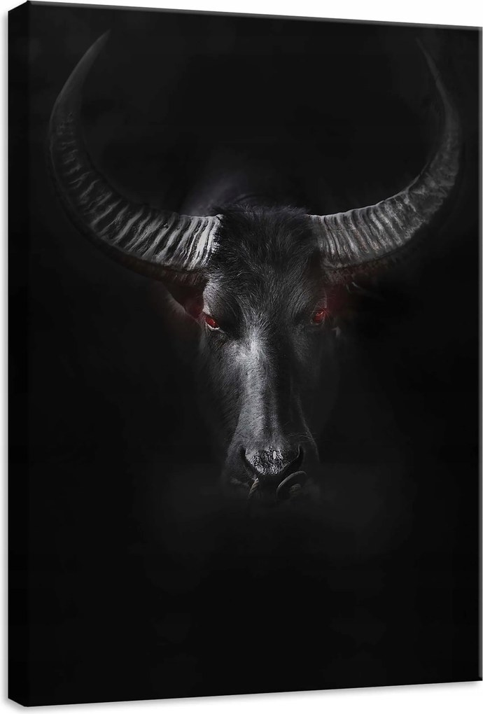 Obraz 50x70 Buvol asijský portrét přiblížení červené oči síla divočáka