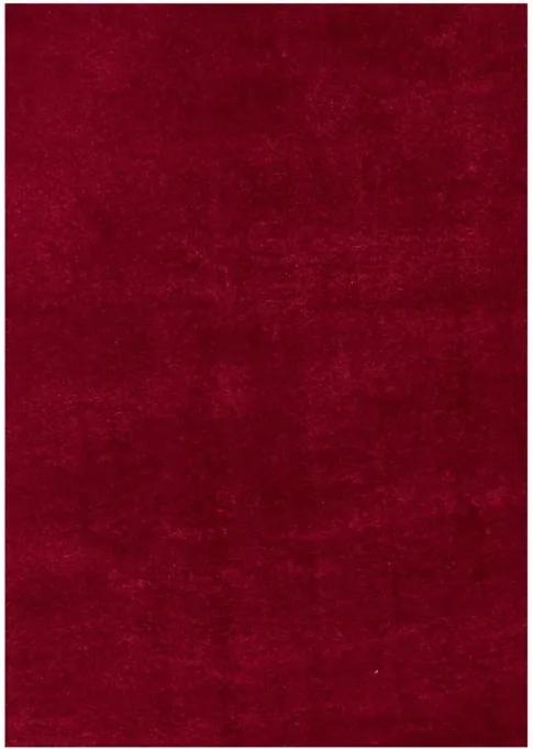 Vopi | Kusový koberec Delgardo K11501-06 red - 240 x 340 cm