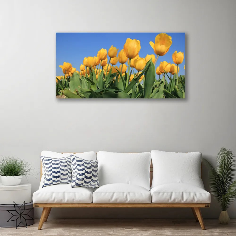 Obraz na plátně Tulipány Květiny Rostlina 100x50 cm