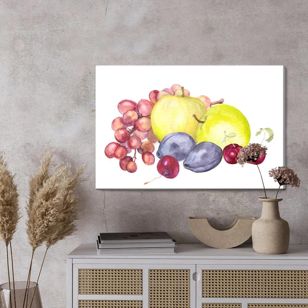 Obraz Letní Ovoce Malované Akvarelem Nedostatek Nedostatek Plátno Canvas 120x80