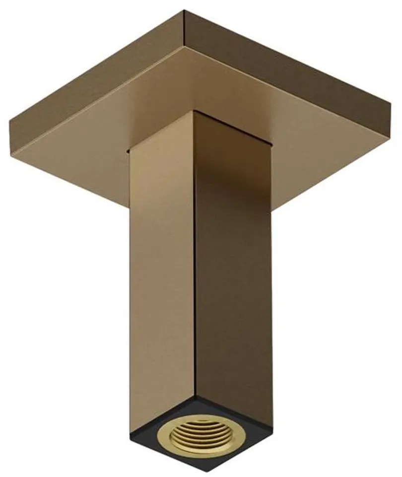 Hansgrohe - Sprchové rameno stropní, 11 cm, kartáčovaný bronz 24338140