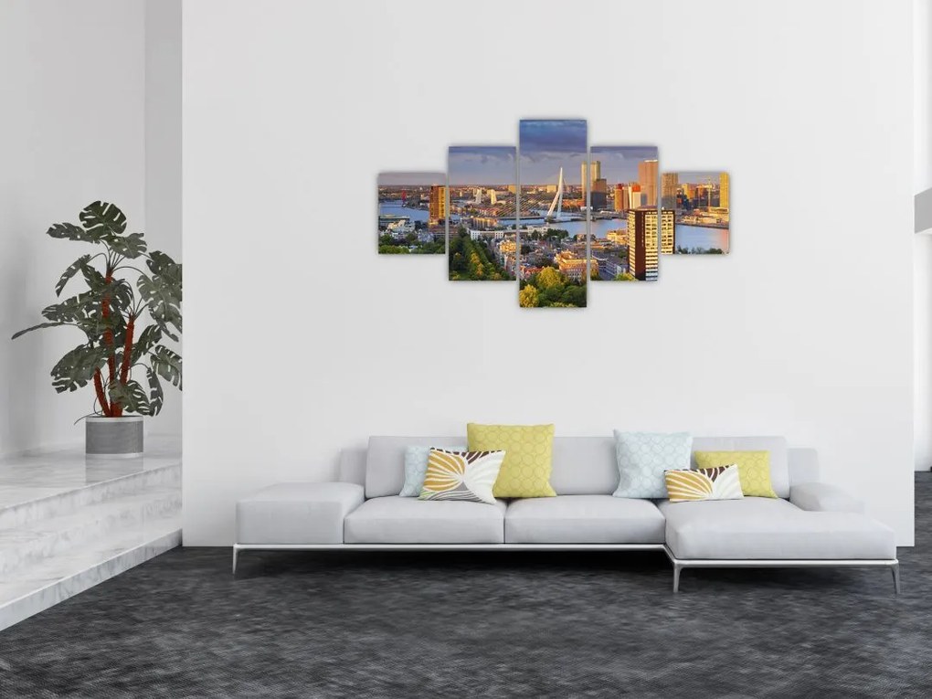 Obraz - Panorama Rotterdamu, Nizozemsko (125x70 cm)