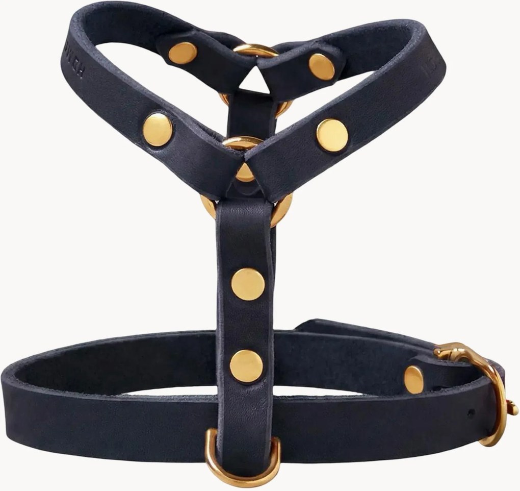 Kožený postroj pro psa Y-Harness, v různých velikostech