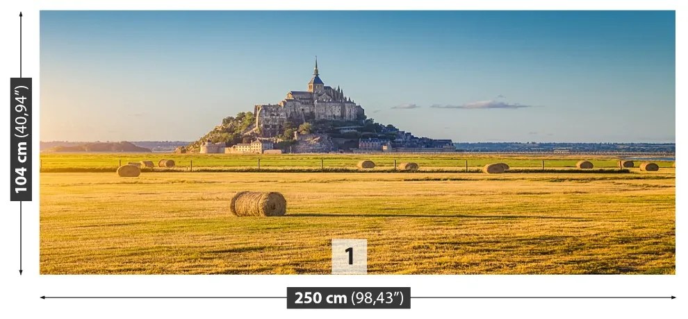 Fototapeta Le Mont SaintMichel 104x70