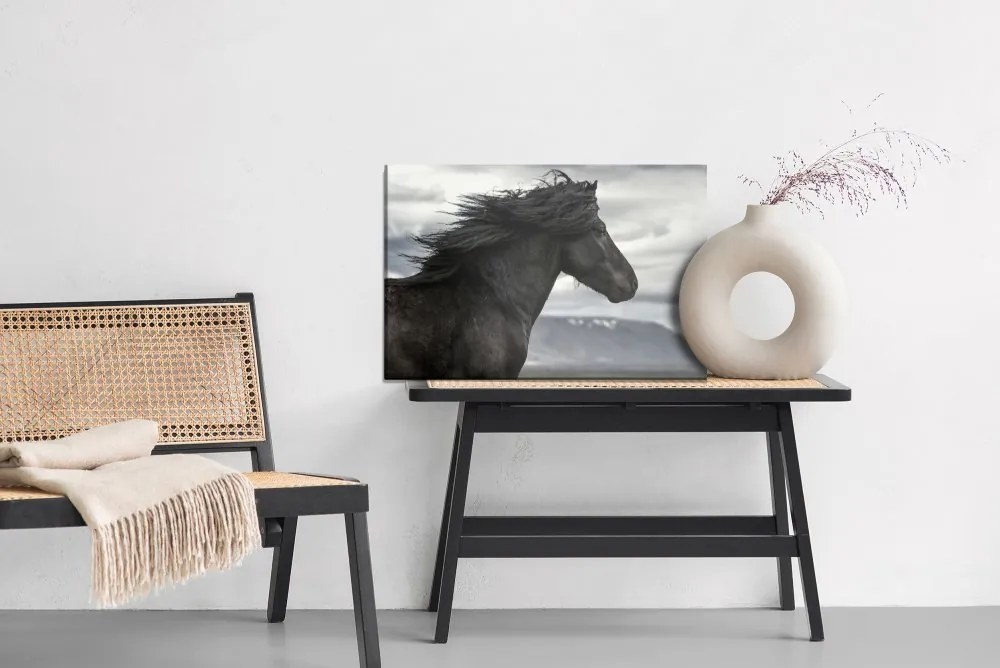 Obraz Černý Kůň Na Pozadí Mraků Nedostatek Nedostatek Přírodní plátno 30x20