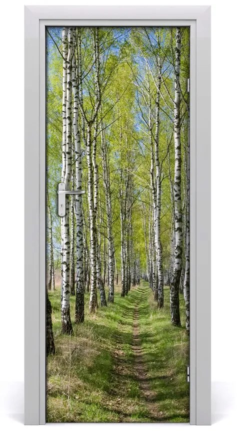 Fototapeta na dveře samolepící břízový les 75x205cm